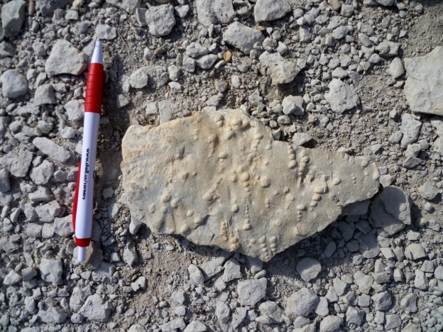 What can we learn from a hand sample? - Andrew J. Moodie