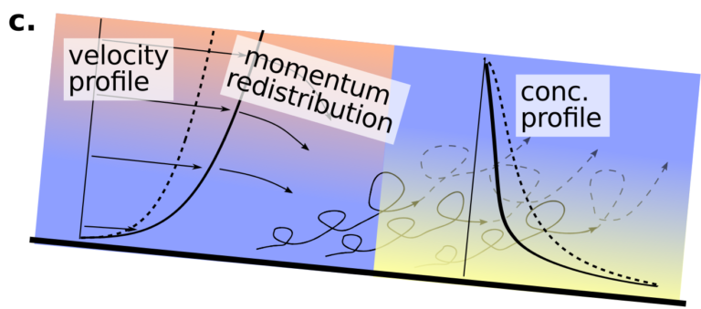 Density stratification in fine-grained rivers - Andrew J. Moodie